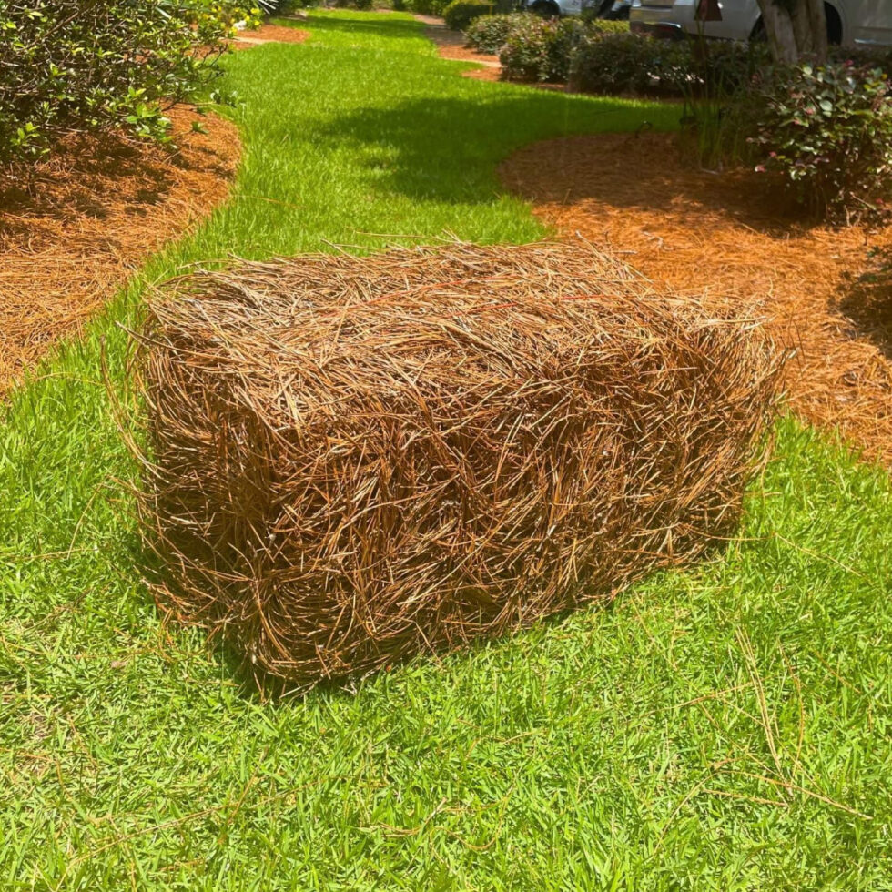 S & S Pinestraw - S&S Pinestraw